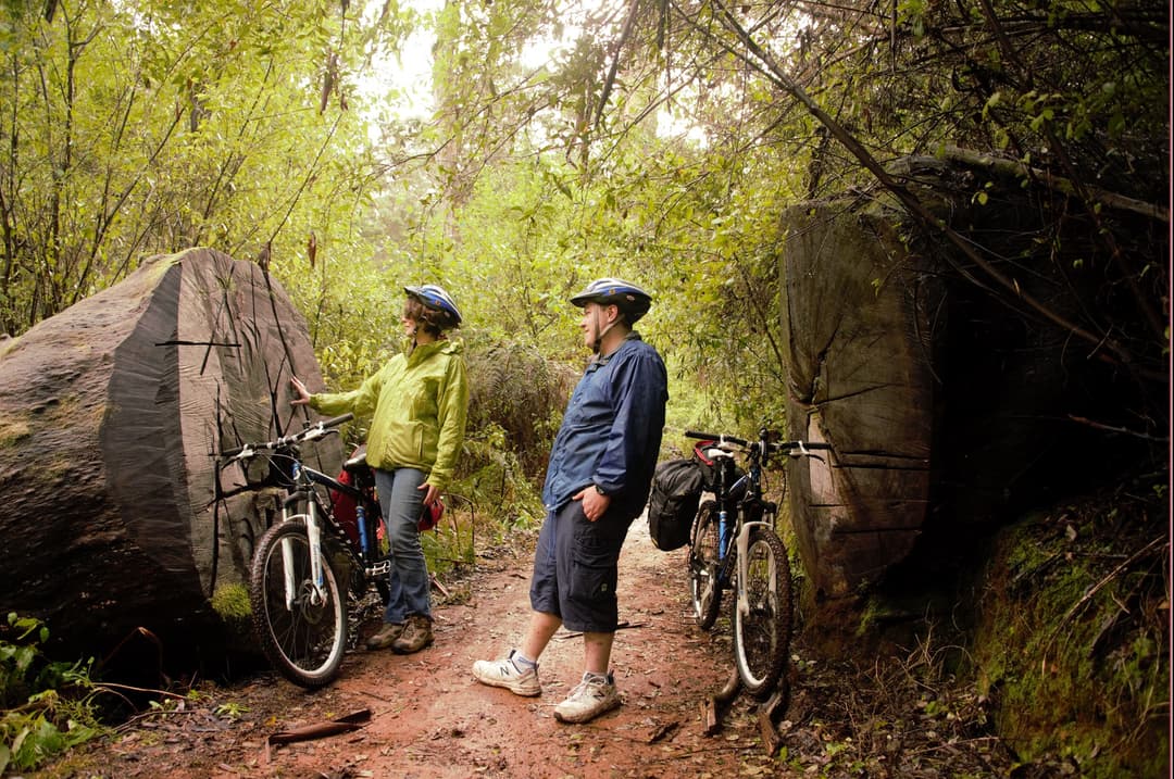 Adventure & Trails - Pemberton Visitor Centre