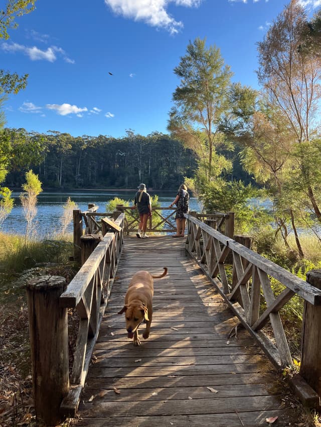 Blog - Pemberton Visitor Centre